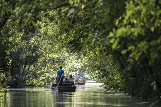 Marais Poitevin : le label Grand Site de France renouvelé | La ...